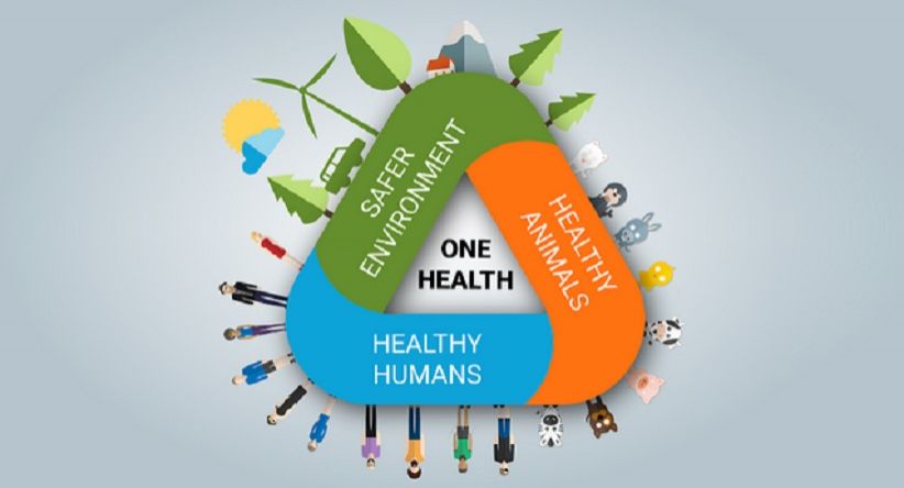 Peringati One Health Day, Ditemukan 30 Penyakit Menular Baru di Dunia