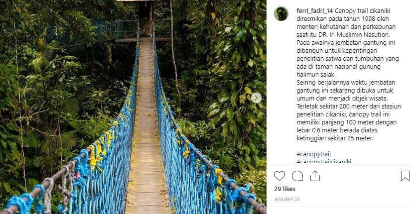 Indahnya Pemandangan Hutan dari Canopy Trail, Jembatan Gantung Eksotis ... Indahnya Pemandangan Hutan dari Canopy Trail, Jembatan Gantung Eksotis ...