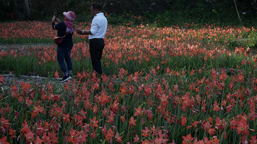 Awalnya Menolak, Pengusaha Snorkeling Tato Tangannya Gambar Barcode ...