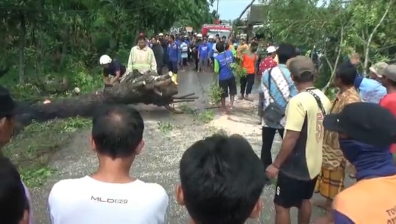 Tragis! Bocah Tewas di Kolam Renang Rumah setelah Rambut Tersangkut Saluran Air