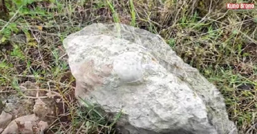 Ditemukan Bekas Lautan di Atas Gunung, Aneh Ada Fosil Kerang Berubah ...