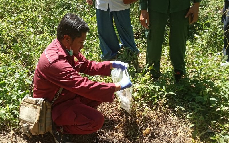 Sudah Puluhan Ribu Ternak Babi Mati di Sanggau, Hasil Tes Positif Virus ASF Sudah Puluhan Ribu Ternak Babi Mati di Sanggau, Hasil Tes Positif Virus ASF