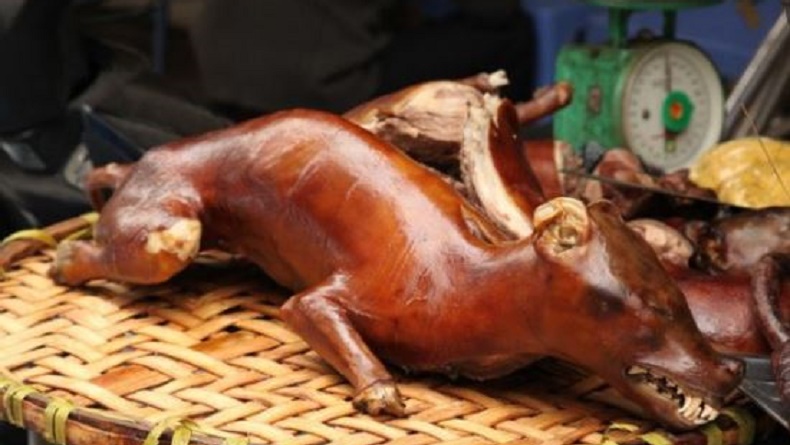 6 Makanan Tradisional Indonesia yang Ekstrem, Ada Biawak hingga ...