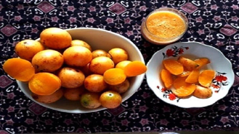 Buah Khas Kalimantan yang Mulai Langka, Ada yang Mirip Nangka