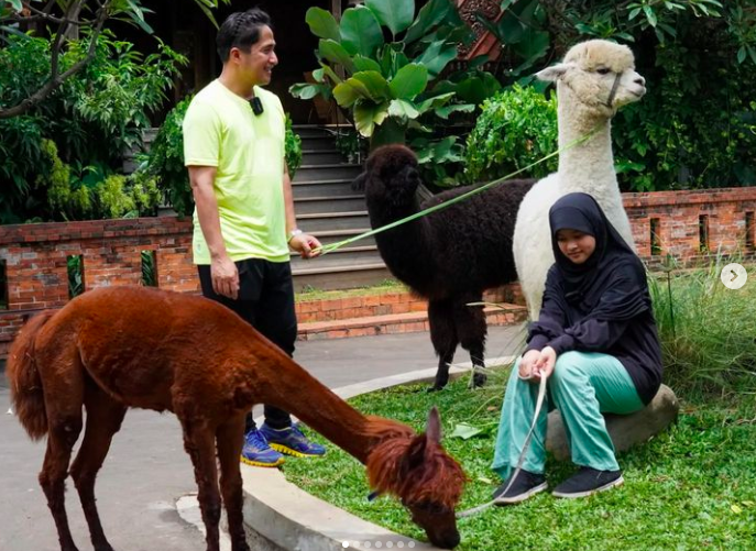 3 Artis Punya Aviary Raksasa Pelihara Ratusan Jenis Burung Langka, Ada ...