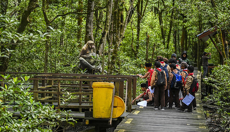 Kisah Tarakan Field di Kalimantan Utara