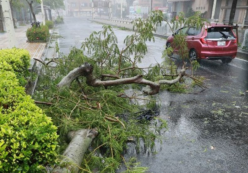 Topan Trami Porak-porandakan Jepang, 45 Orang Luka