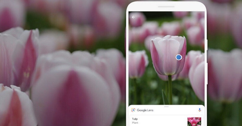 Google Lens untuk Android dan iOS Mendapat Filter Baru