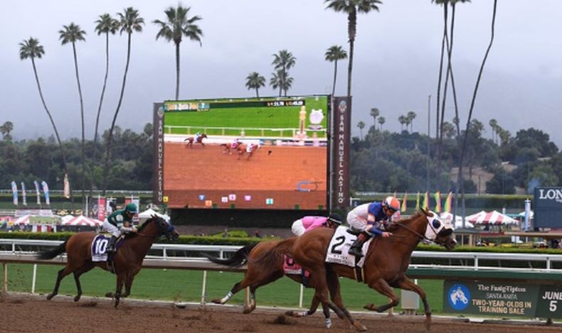 2 Kuda Mati Setelah Bertabrakan di Arena Pacuan