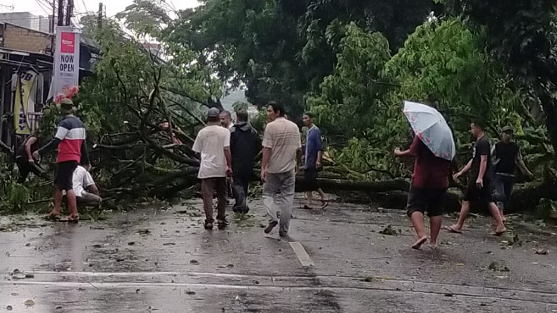 Hujan dan Angin Kencang Landa Bogor, Sejumlah Pohon Tumbang