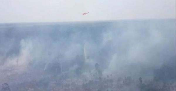 Pemprov Riau Tetapkan Status Siaga Darurat Kebakaran Lahan dan Hutan