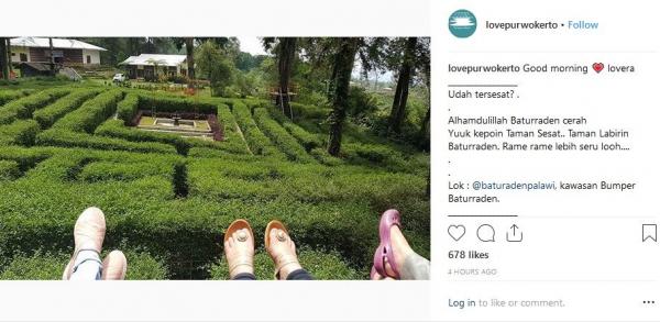 Awas Tersesat di Taman Labirin, Yuk Jelajahi Wisata Hits di Baturraden Awas Tersesat di Taman Labirin, Yuk Jelajahi Wisata Hits di Baturraden