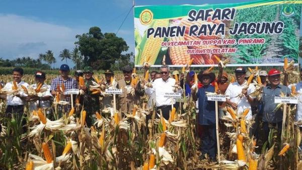 Kementan Panen Raya Jagung di Pinrang, Produktivitas 8 Ton per Hektare