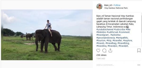 Wisata Way Kambas, Petualangan Menunggang Gajah di Alam Liar
