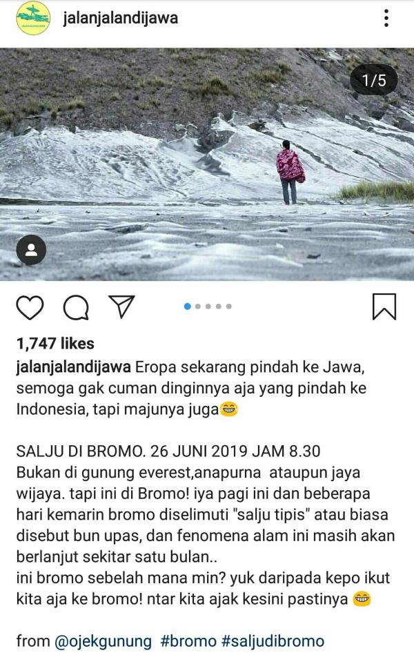 Bromo Diselimuti Salju, Bunga Edelweiss Terlihat Indah Mirip di Eropa
