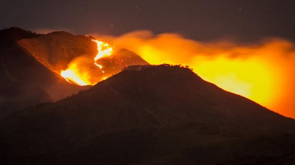 Penampakan Kobaran Api Bakar Hutan Taman Nasional Gunung Merbabu