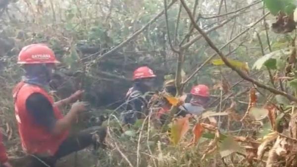 Hutan Gunung Slamet Masih Membara, Tim Gabungan Kewalahan Padamkan Api Hutan Gunung Slamet Masih Membara, Tim Gabungan Kewalahan Padamkan Api