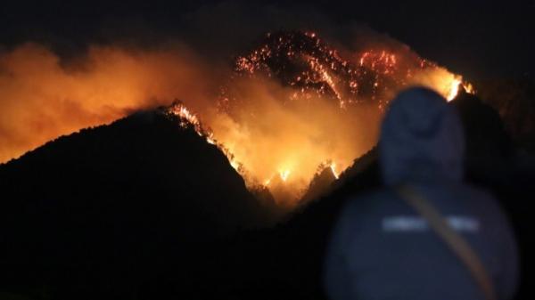 Kebakaran Hutan Gunung Ranti Banyuwangi, Empat Pendaki yang Terjebak ...