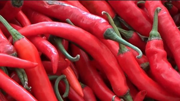 Menjelang Lebaran, Harga Cabai Merah di Medan Naik Lebih dari 2 Kali Lipat