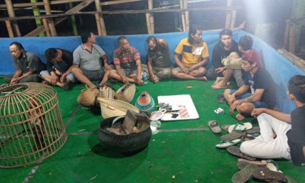 Polisi Tetapkan Satu Tersangka Judi Sabung Ayam Di Blora