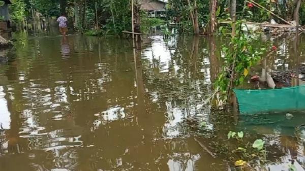 Tanggul Sungai Apoor Jebol, Banjir Rendam 90 Rumah dan Sawah di Pangandaran