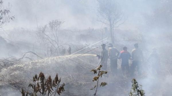 Kabar Baik, Kebakaran Lahan Gambut 5,5 Ha di Aceh Barat Mulai Padam