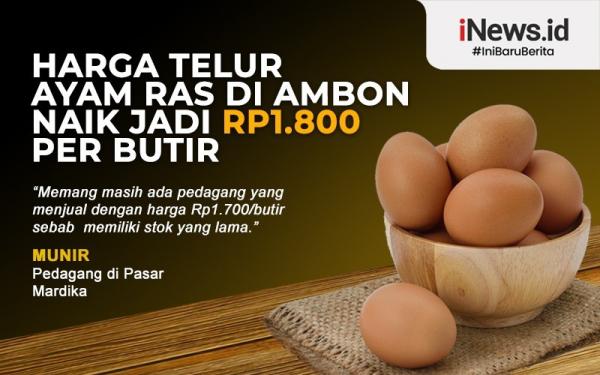 Infografis Harga Telur Ayam Ras di Ambon Naik
