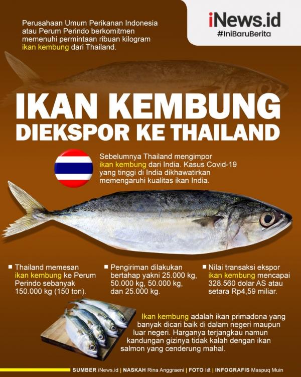 Infografis Thailand Pesan Ikan Kembung Ratusan Ton ke Indonesia