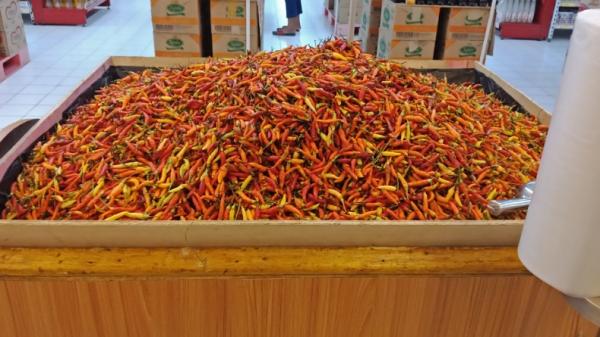 Harga Cabai di Sangihe Turun Jadi Rp60.000 per Kilogram