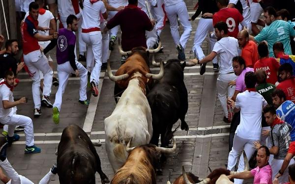 Diseruduk Banteng Ngamuk, Pria Paruh Baya Tewas Kehabisan Darah Diseruduk Banteng Ngamuk, Pria Paruh Baya Tewas Kehabisan Darah