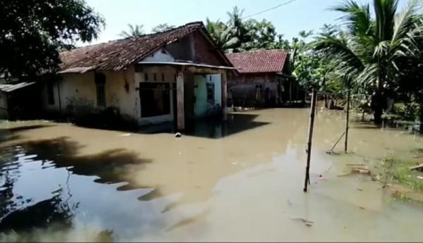 Tanggul Sungai Cikawung Cilacap Jebol, Ratusan Rumah di 4 Desa Terendam Banjir