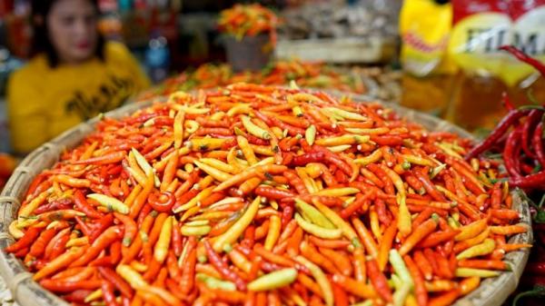 Harga Cabai Rawit di Gorontalo Tembus Rp100.000 per Kg