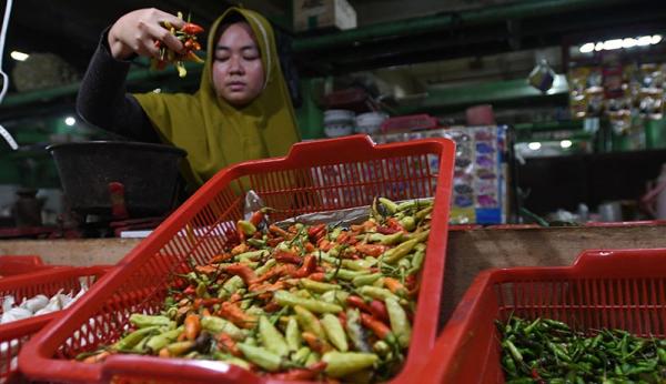 Harga Cabai Rawit Merah Masih Rp100.000 per Kg, Ini Penyebabnya