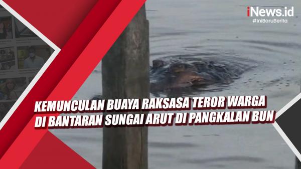 Video Kemunculan Buaya Raksasa Teror Warga di Bantaran Sungai Arut di ... Video Kemunculan Buaya Raksasa Teror Warga di Bantaran Sungai Arut di ...
