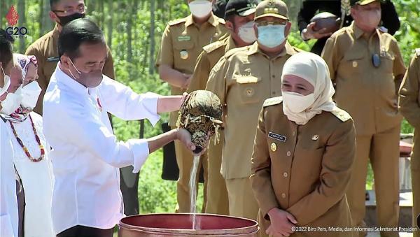 Gubernur Khofifah Tanam Pohon Mangga Lalijiwo Khas Jatim di IKN Nusantara