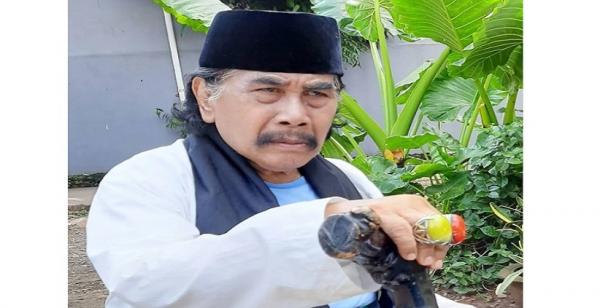 Perjalanan Hidup Jaja Miharja, Komedian Top Memulai Karier sebagai ...
