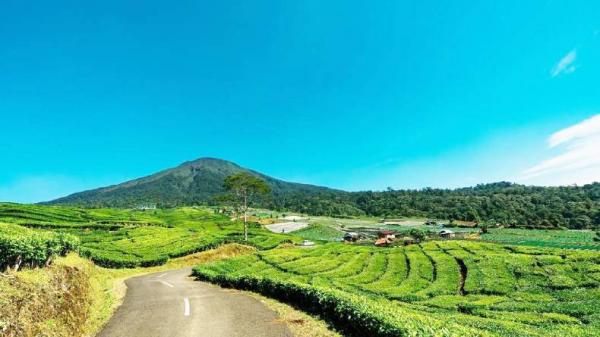 Rekomendasi Wisata Alam di Sumatera Selatan yang Patut Dikunjungi