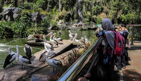 Puncak Kunjungan di Ragunan Diprediksi Besok, Bakal Ada 60.000 Wisatawan