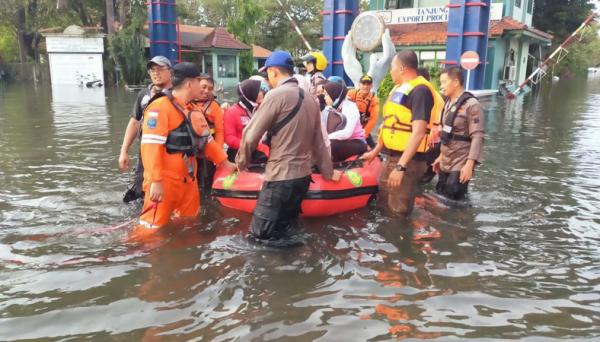 Tim SAR Berjibaku Evakuasi Ibu Hamil Terjebak Banjir Rob di Pelabuhan Tanjung Emas