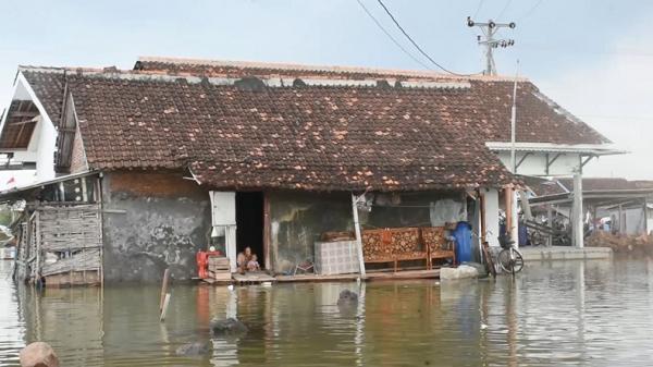 Banjir Rob Kembali Rendam Permukiman di Pesisir Kendal