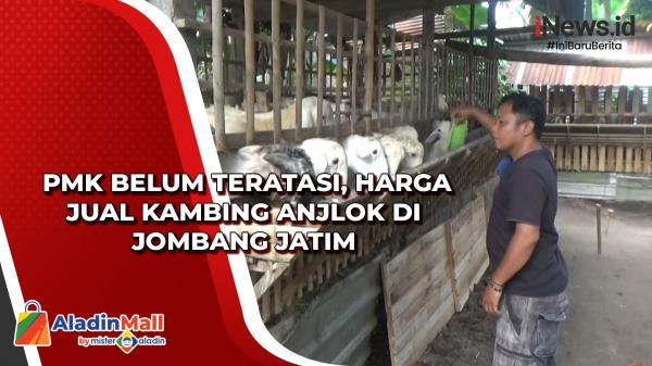 PMK Belum Teratasi, Harga Jual Kambing Anjlok di Jombang Jatim