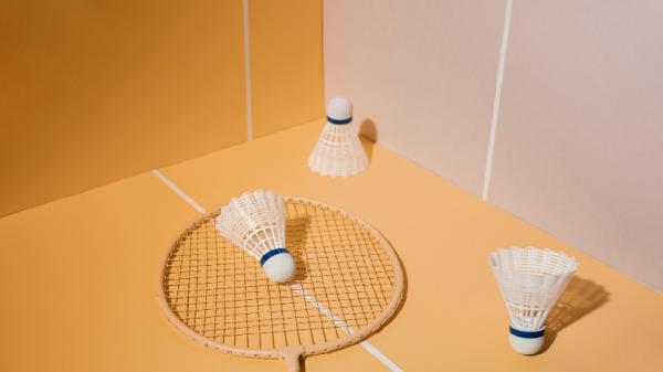 8 Cara Membedakan Raket Badminton Original dan KW, Kenali Ciri-ciri ...