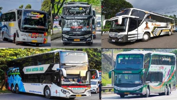 5 PO Bus Pakai Nama Pemiliknya, Nomor 1 dan 4 Dimiliki Perempuan