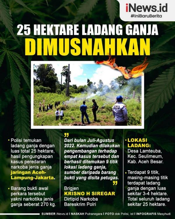 Infografis 25 Hektare Ladang Ganja Dimusnahkan