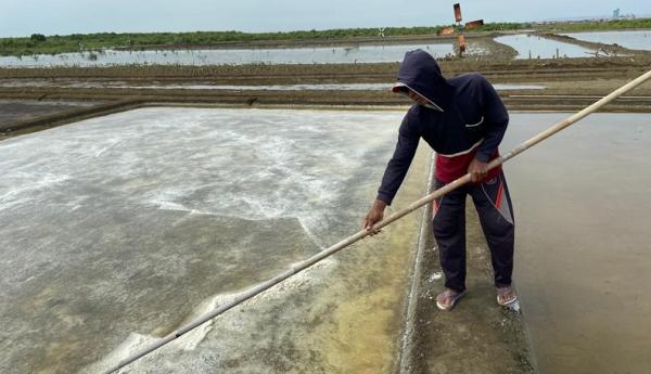 Harga Garam Tembus Rp300.000 per Karung, Beban Perajin Tahu di Bandung ...
