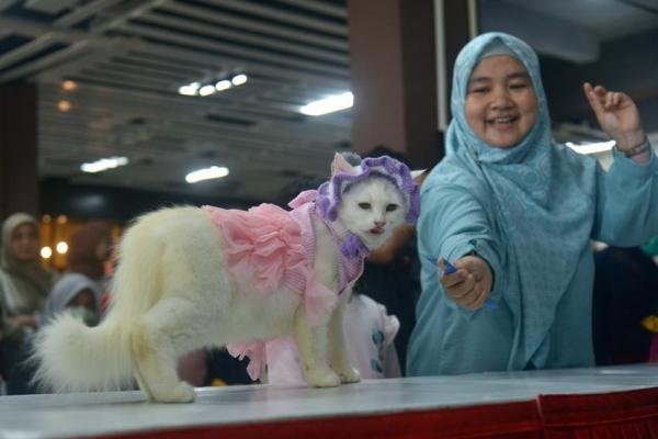 Cat Fashion Week Meriahkan Hari Kucing Sedunia di Banda Aceh