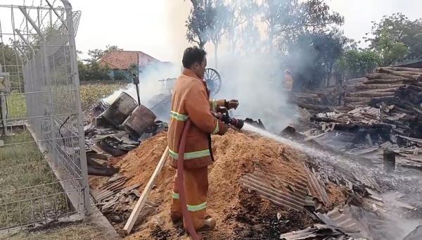 Gudang Pengolahan Kayu di Probolinggo Ludes Terbakar, Diduga Akibat Puntung Rokok