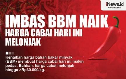 Infografis Imbas BBM Naik, Harga Cabai Melonjak