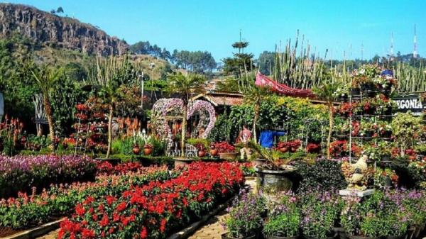 10 Destinasi Kebun Bunga di Indonesia, Menyegarkan dan Indah Bikin Takjub