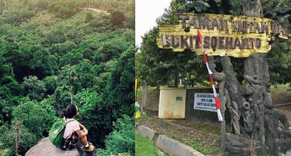 Mengenal Hutan Raya Bukit Soeharto di Kaltim, Ada Keunikan Flora dan ...